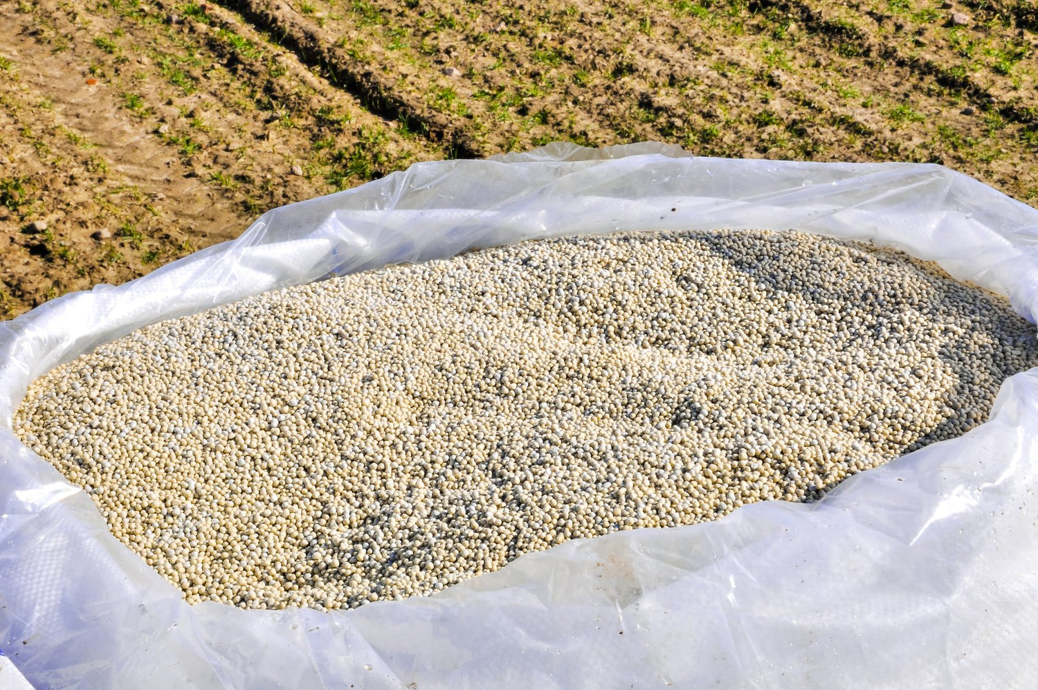 Balancing the Temperature: Optimizing Nitrogen Stabilizers and Inhibit ...